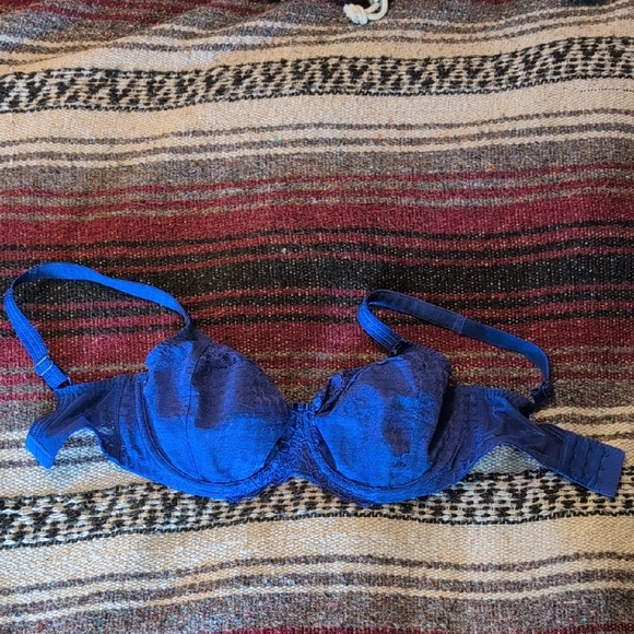Panache | Intimates & Sleepwear | Panache Envy Blue Bra 28gg | Poshmark